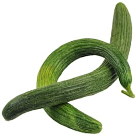 Metki Serpent Cucumber-Melon Seeds | Baker Creek Seeds