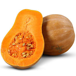 Sucrine Du Berry Squash Seeds | RareSeeds.com