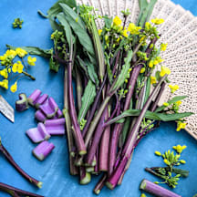 Purple Choy Sum Seeds | Baker Creek Heirloom Seeds