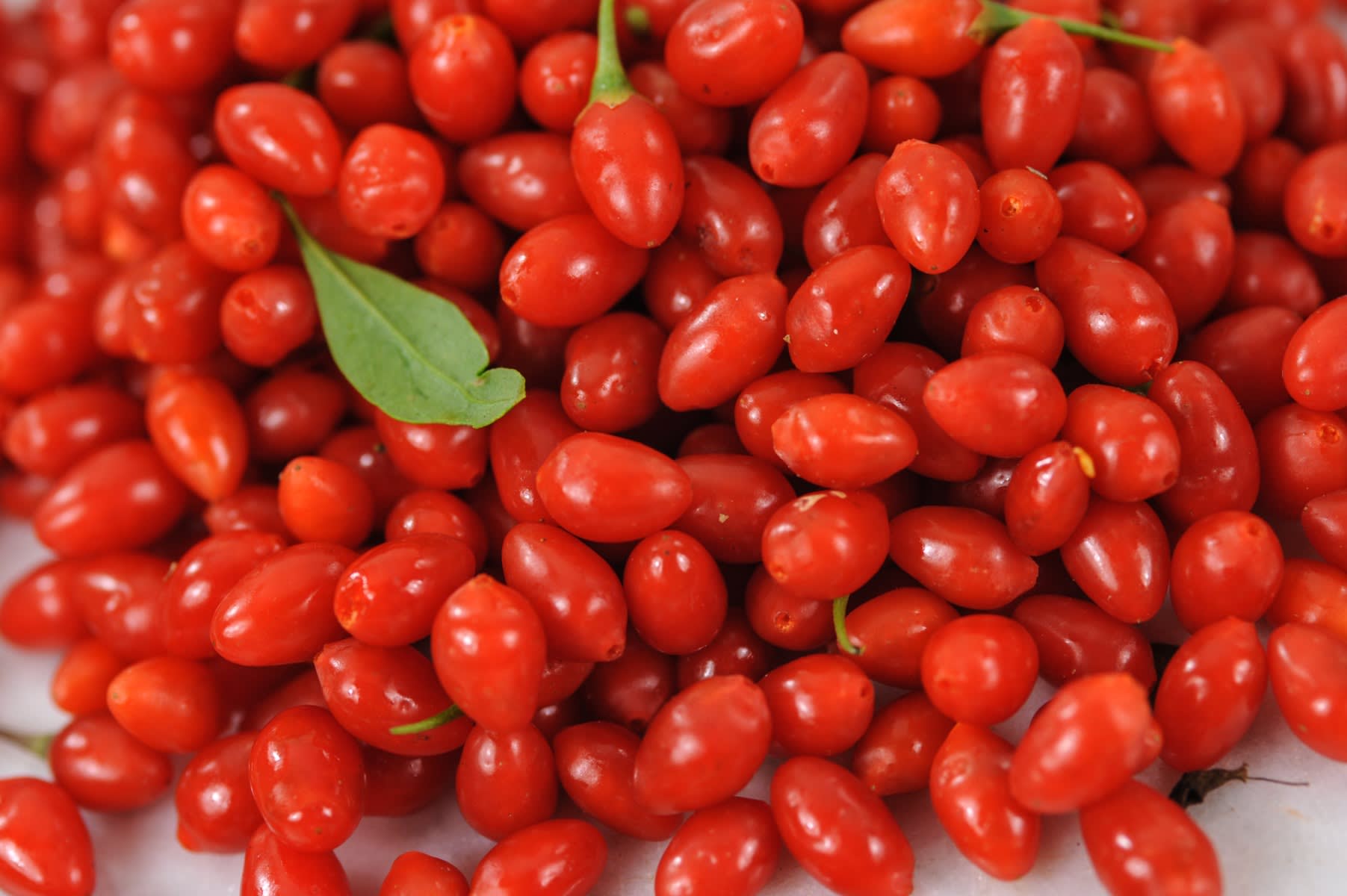 History of The Goji Berry: Ancient Plant, Super Berry