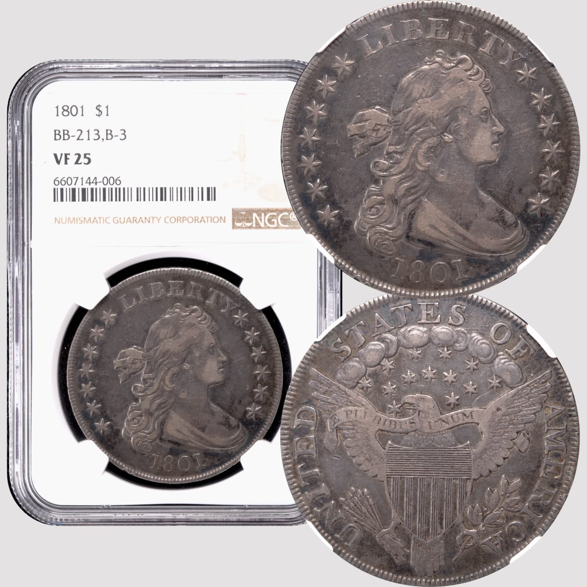 1801 Draped Bust Dollar ($1) NGC VF25 - Rarity7