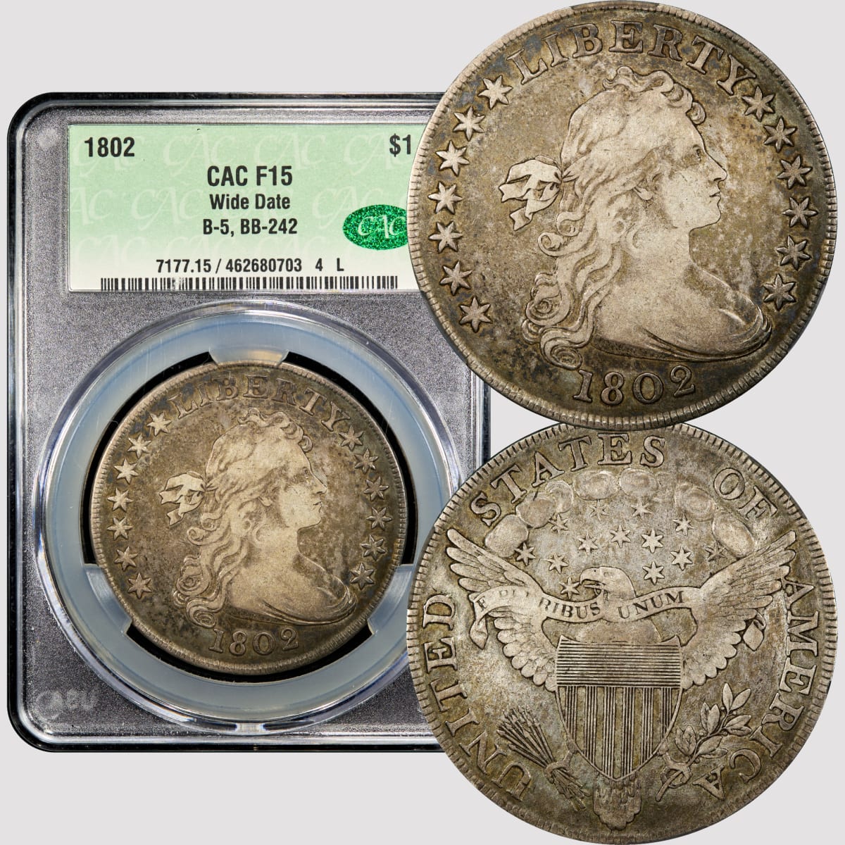 1802 Draped Bust Dollar ($1) Wide Date CACG F15 CAC - Rarity7
