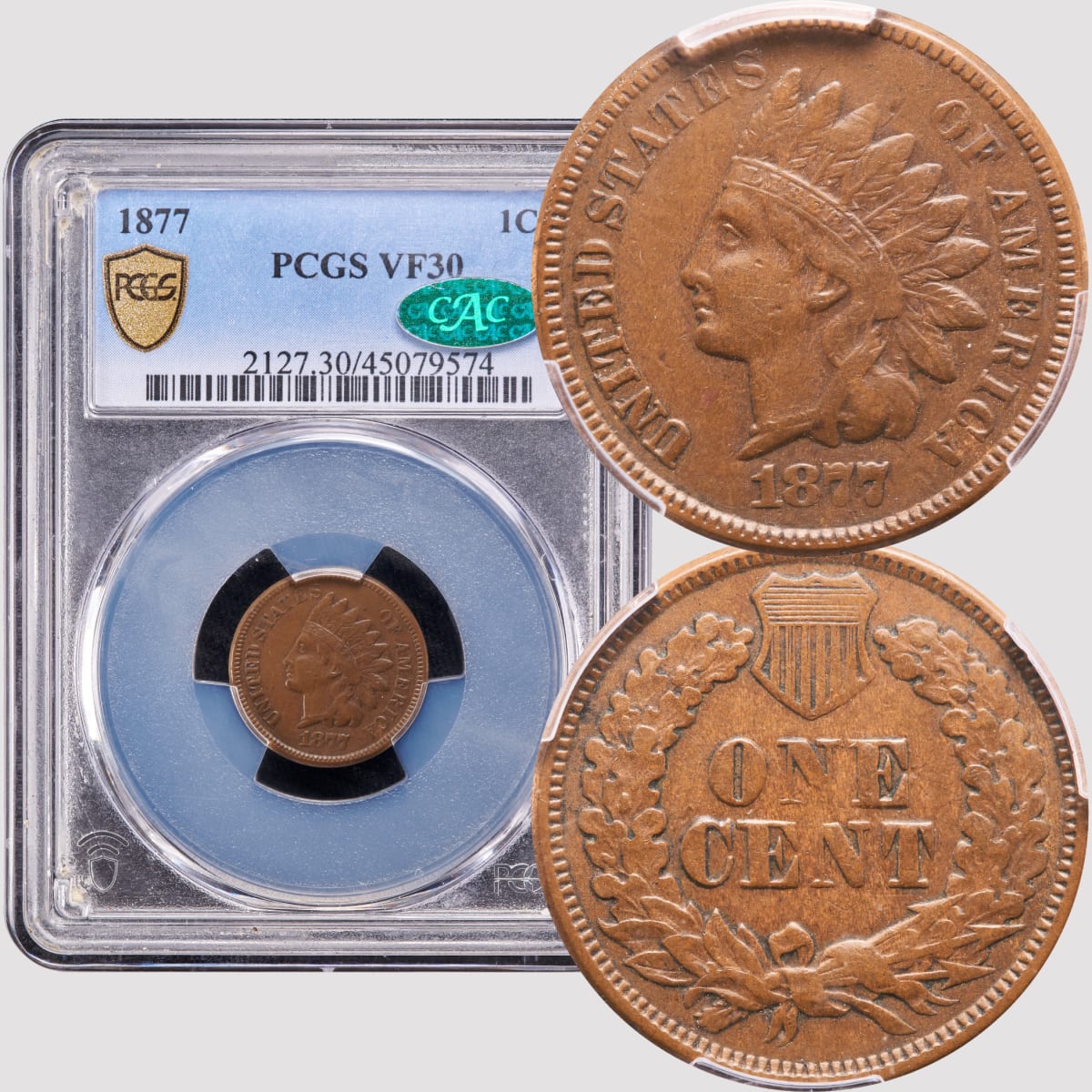 1877 Indian Cent (1c) PCGS VF30 BN CAC - Rarity7