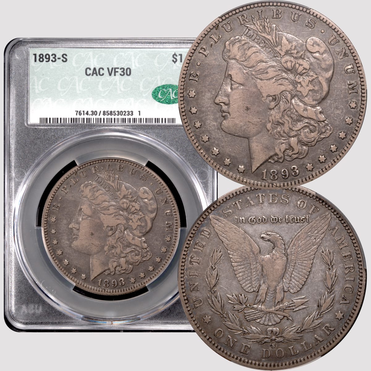1893-S Morgan Dollar ($1) CACG VF30 CAC - Rarity7
