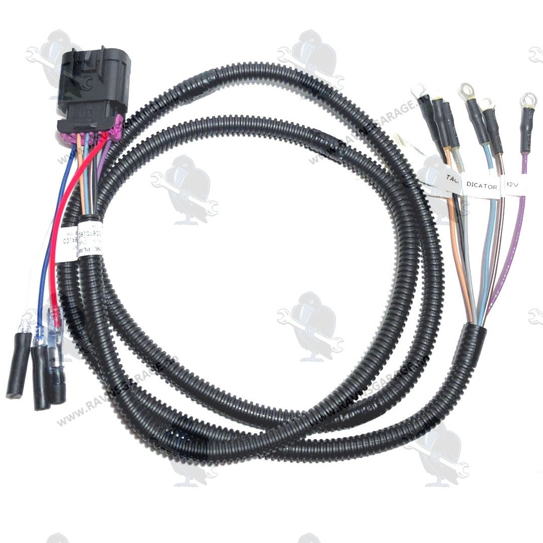 HARNESS ASSY Ravns Garage