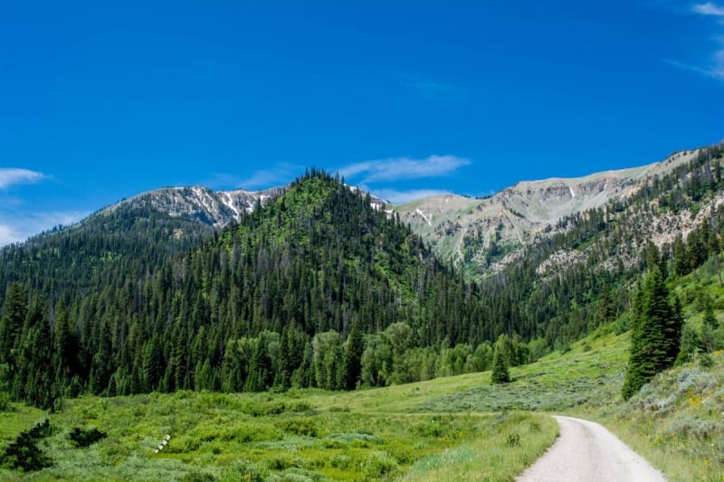 Greys River, Wyoming: Off-Road Map, Guide, and Tips | onX Offroad