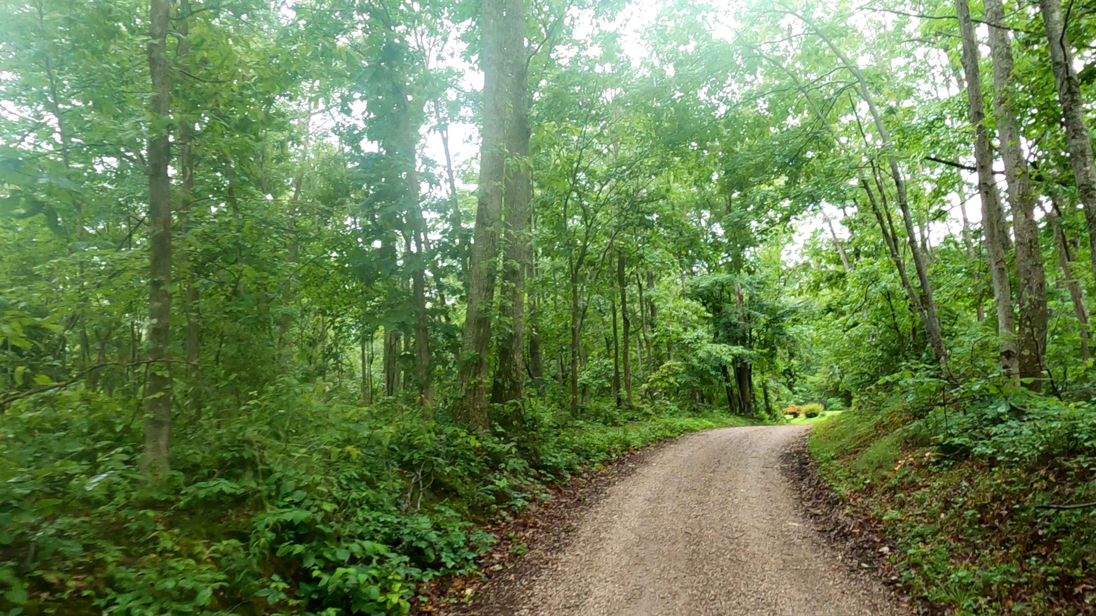 Happy Top, Kentucky : Off-Road Trail Map & Photos | onX Offroad