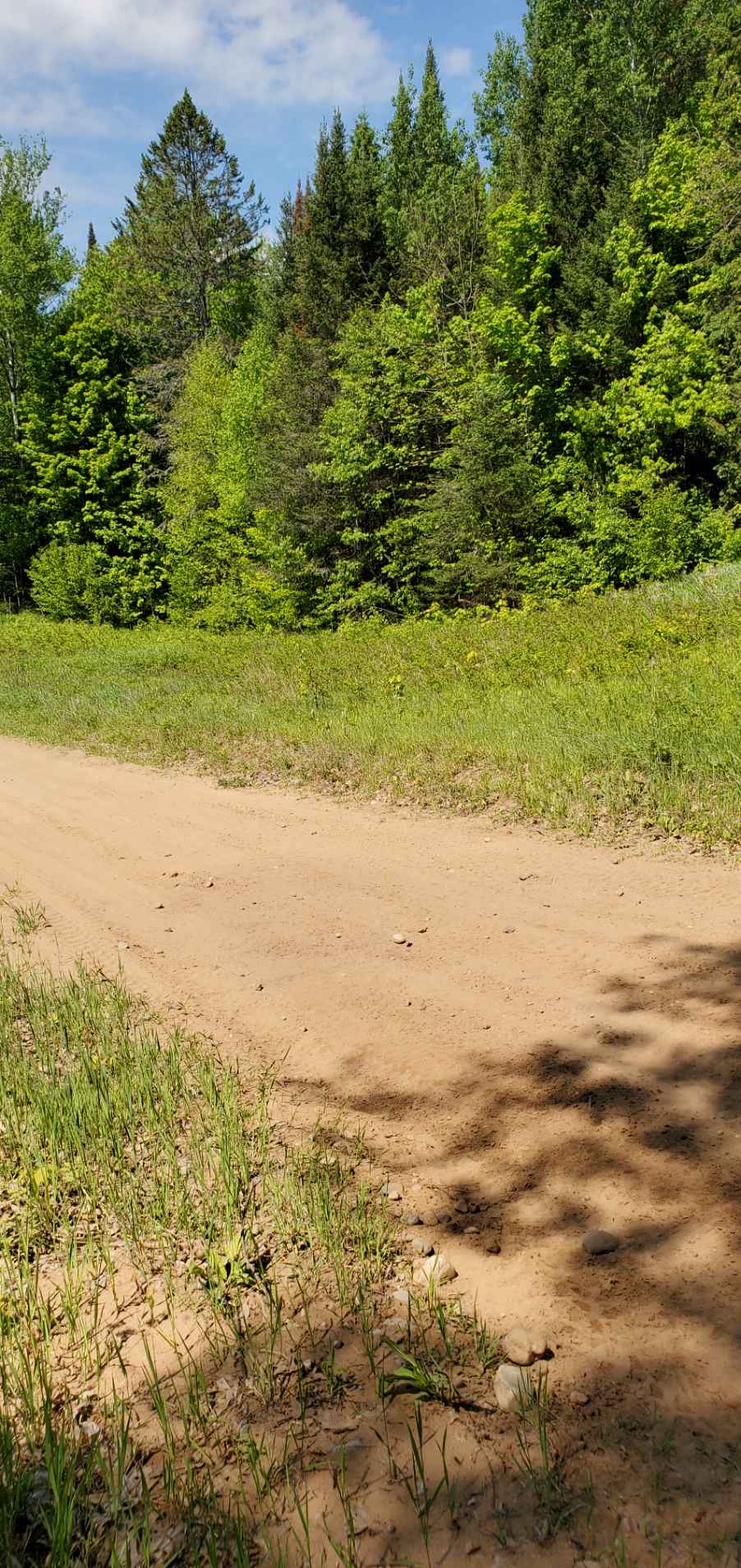 West Elcho Bypass, Wisconsin : Off-Road Trail Map & Photos | onX Offroad