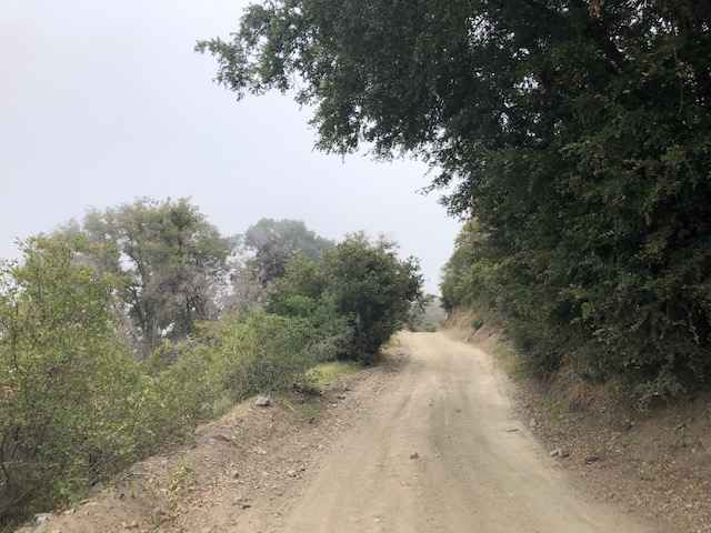 Maple Spring Road, California : Off-Road Trail Map & Photos | onX Offroad