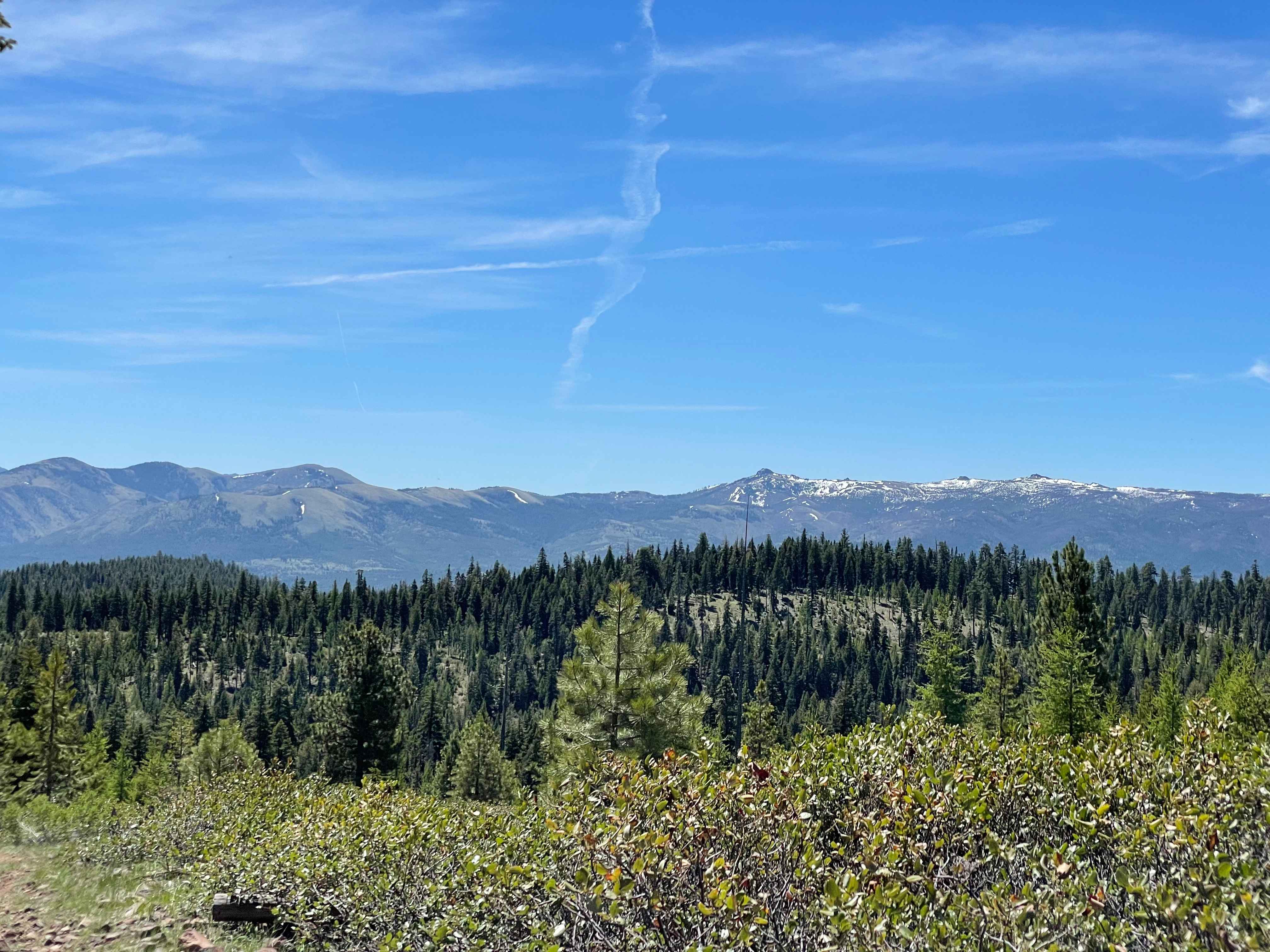 Blue Mountains Trail 1972, Oregon : Off-Road Trail Map & Photos | onX ...