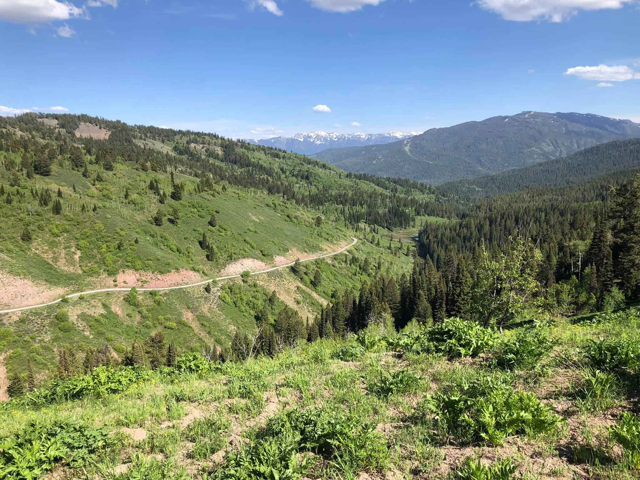 Jensen Forest Road, Idaho : Off-Road Trail Map & Photos | onX Offroad