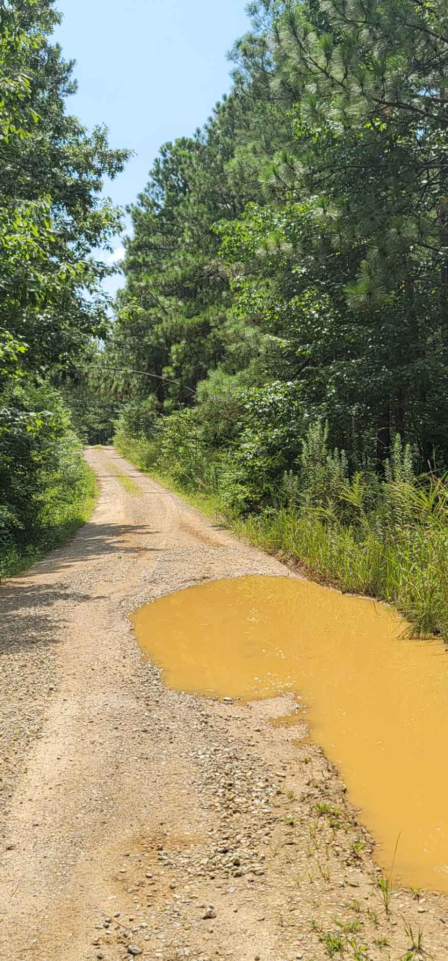 USFSR #644 Kentuck Mtwy, Alabama : Off-Road Trail Map & Photos | onX ...