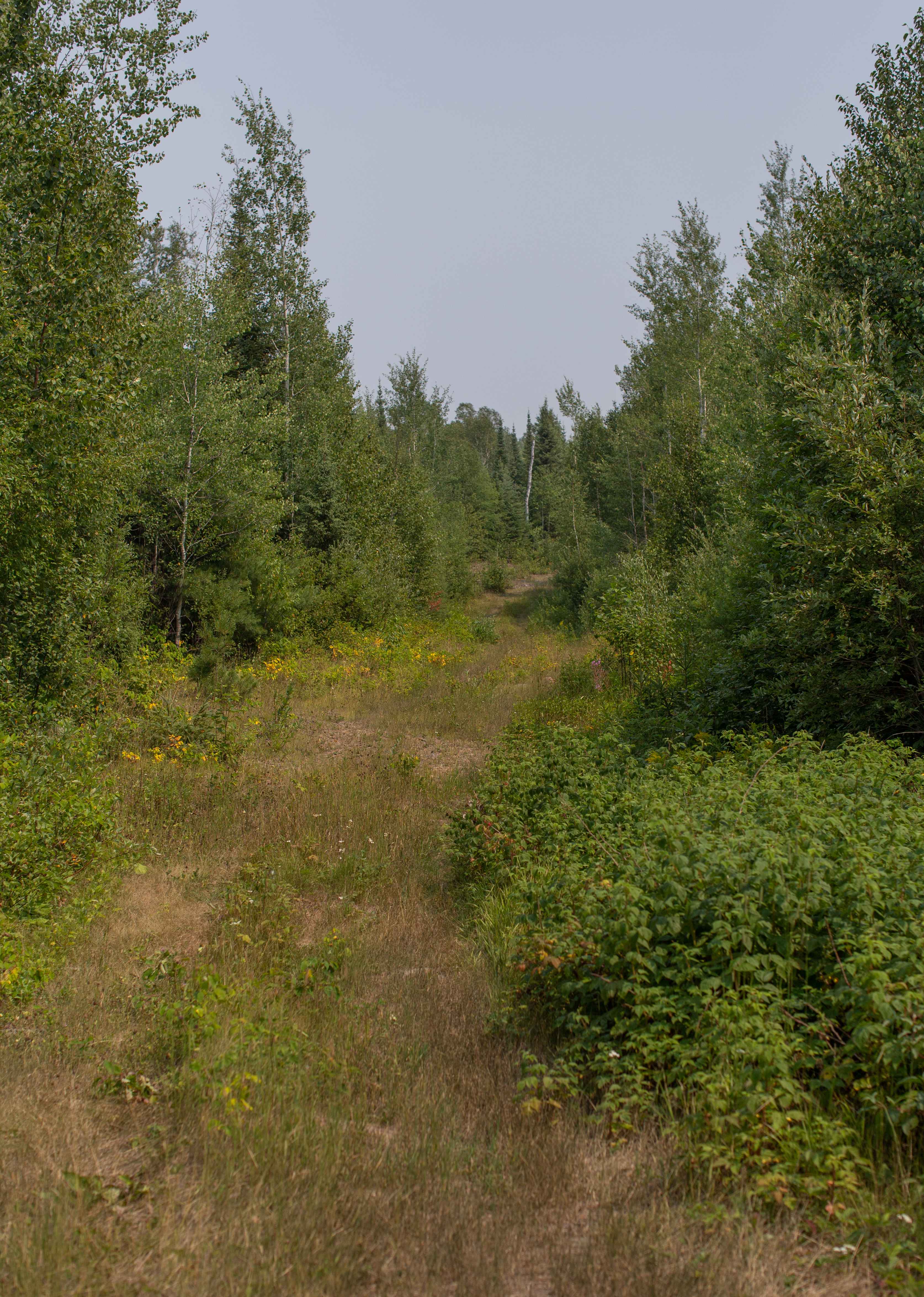 Pine Mountain Forest Road, Minnesota : Off-Road Trail Map & Photos ...