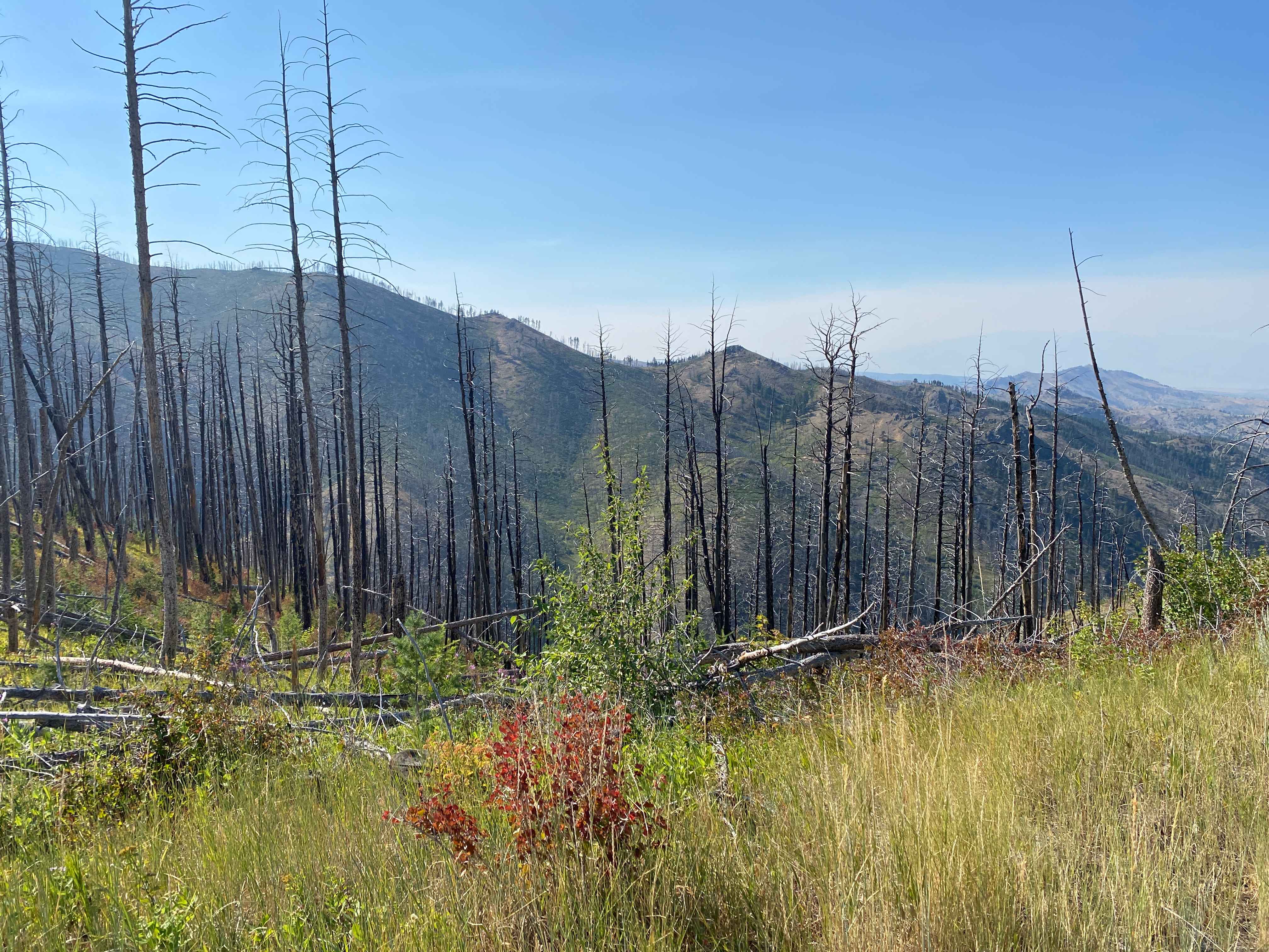 Iron Mountain Road, Montana : Off-Road Trail Map & Photos | onX Offroad