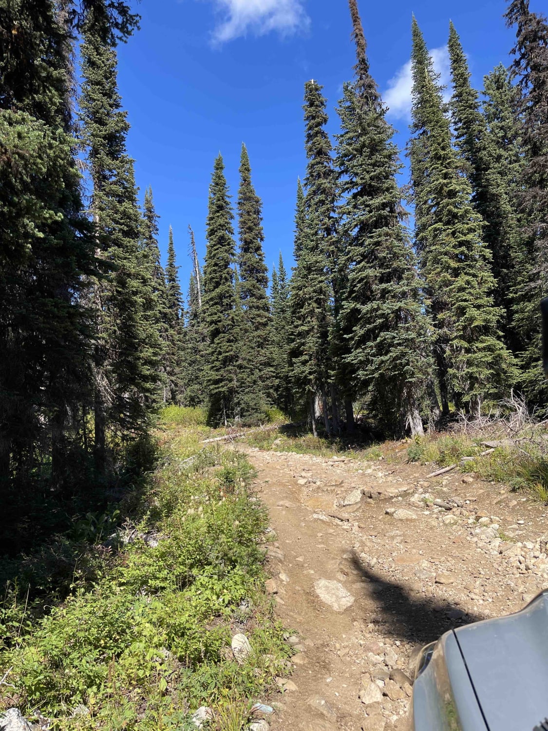 Mara Lookout High Trail, British Columbia : Off-Road Trail Map & Photos ...