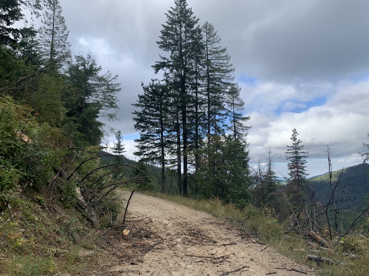 Horse Ridge Trail, Idaho : Off-Road Trail Map & Photos | onX Offroad