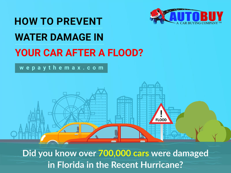 Quick First Aid and Remedies for a Flooded Car