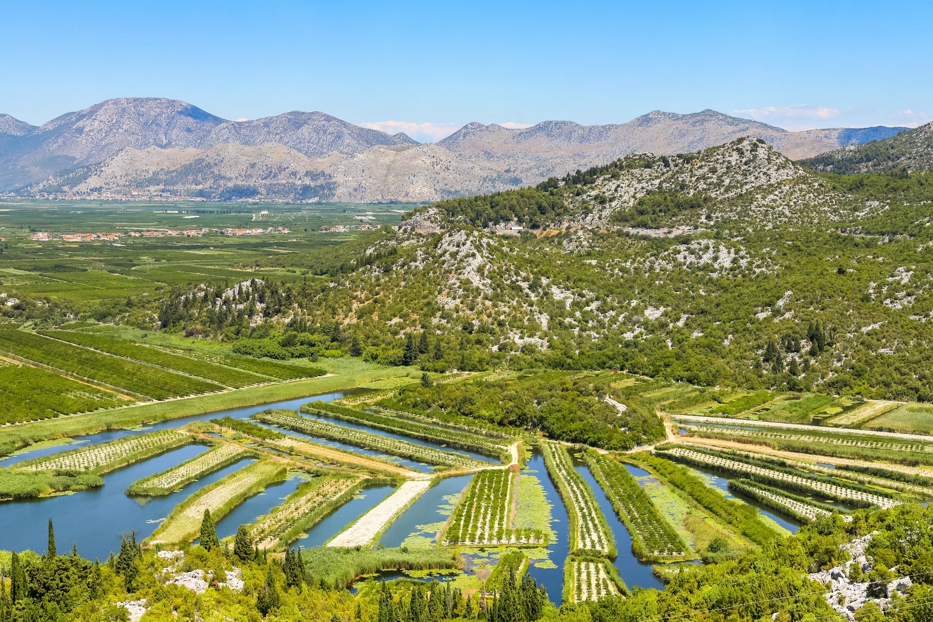 Das Neretva Delta, Süddalmatien - Heimat legendärer Weingärten ...