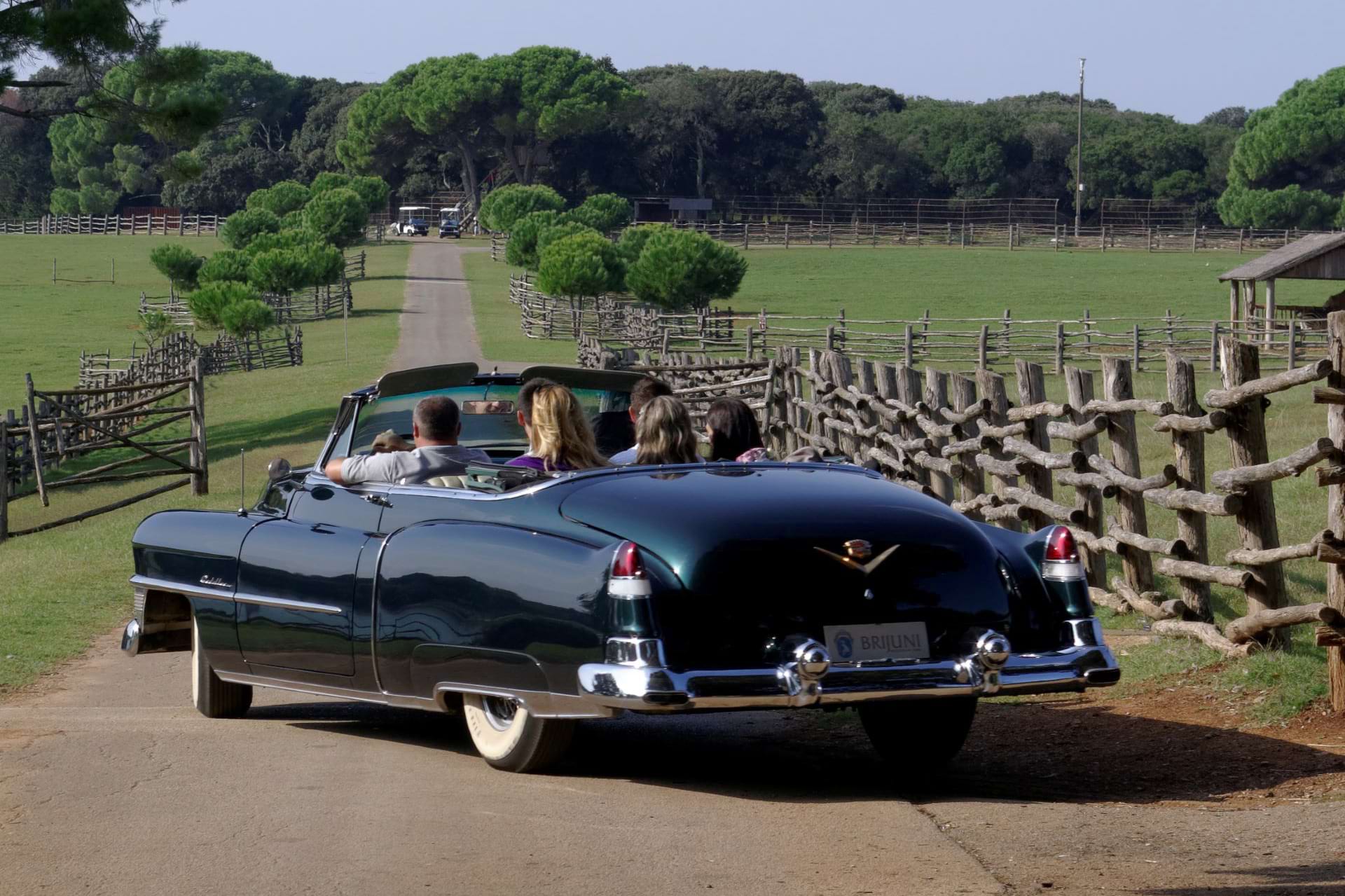 Unveiling the secret paradise: A comprehensive guide to Brijuni ...