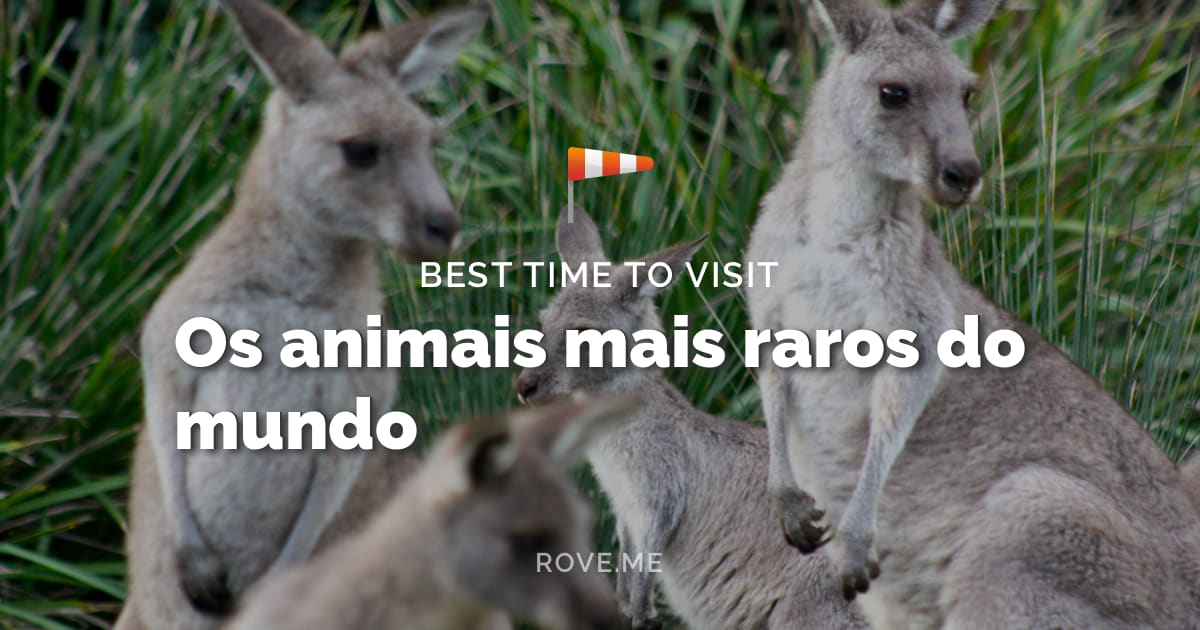 Os animais mais raros do mundo 2024 | Rove.me