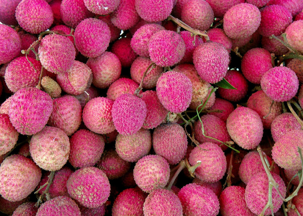 Lychee or Litchi Season in Thailand 2018 – Rove.me