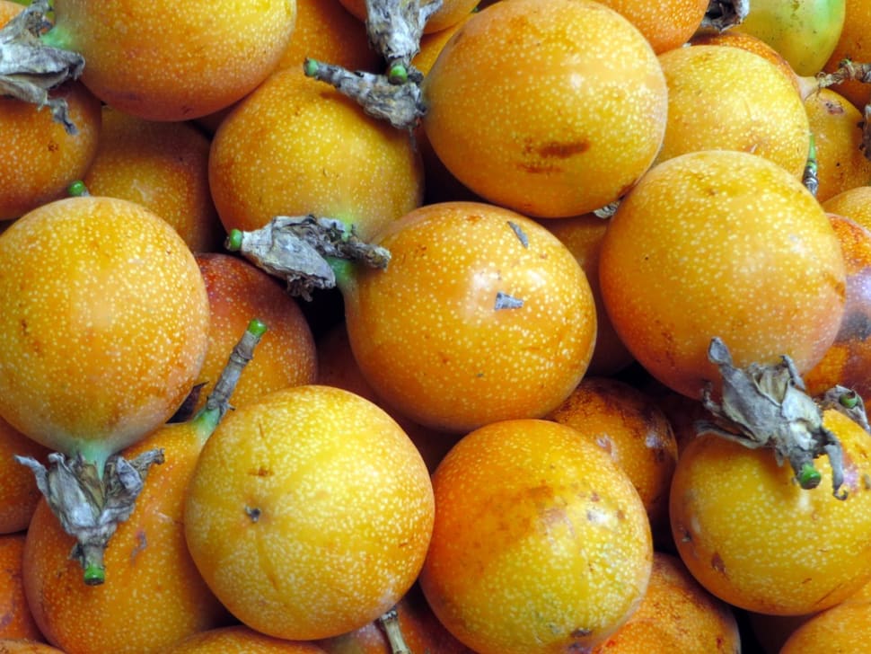 Passion Fruit or Maracuya Season in Costa Rica 2018 – Rove.me