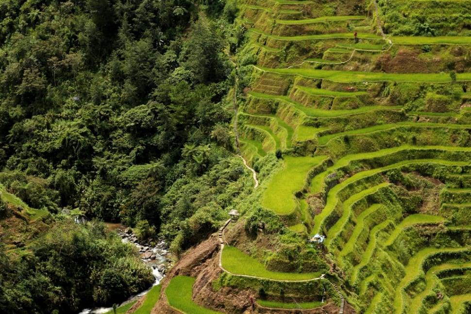 Best Time to See Banaue and Batad Rice Terraces in Philippines 2018
