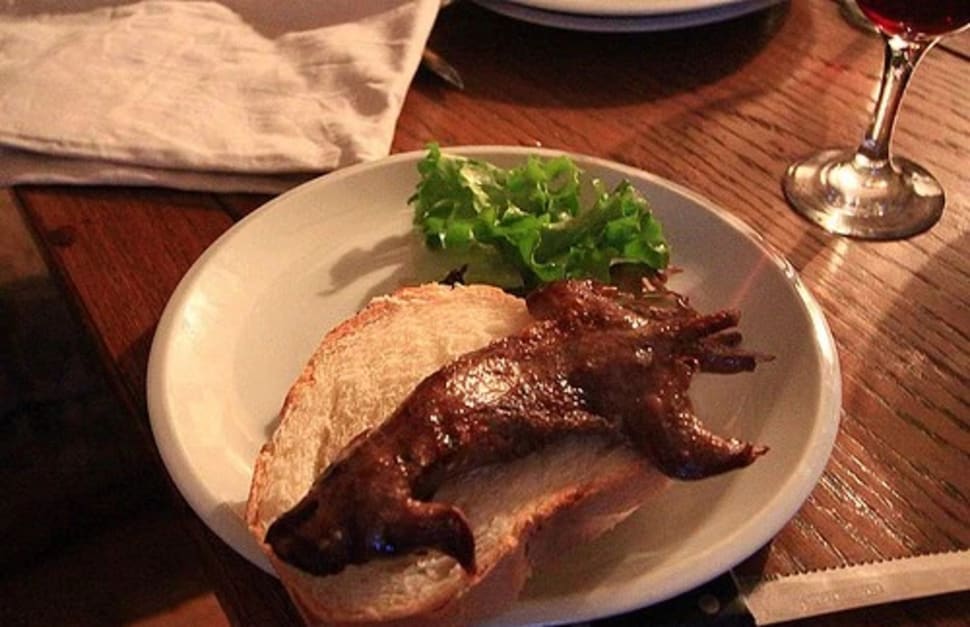 Fried Dormice Season in Croatia 2018 – Rove.me