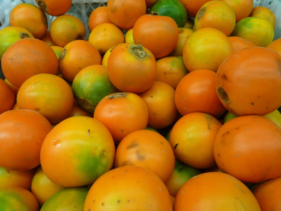 Lulo Fruit Season in Colombia 2018 – Rove.me