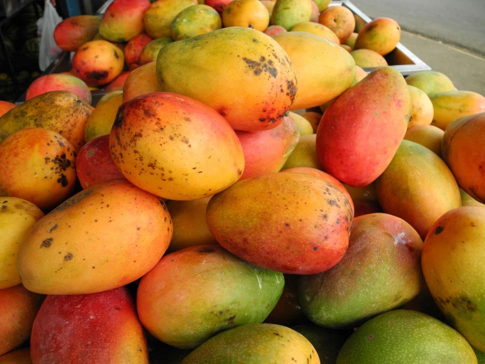 Mango Season in Costa Rica 2018 – Rove.me