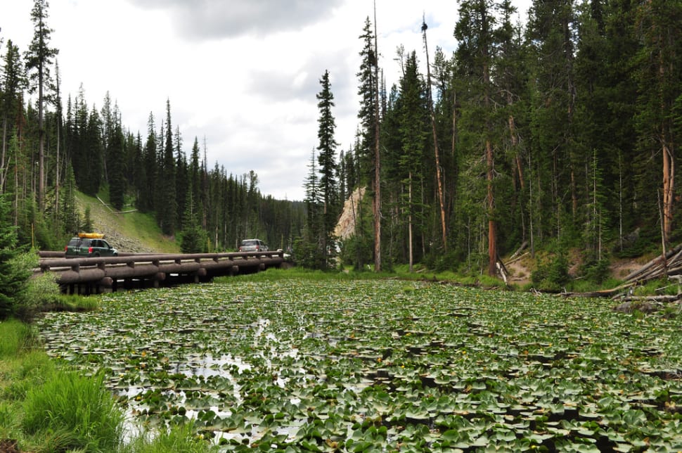 Best Time to See Isa Lake in Yellowstone National Park 2018 - Rove.me