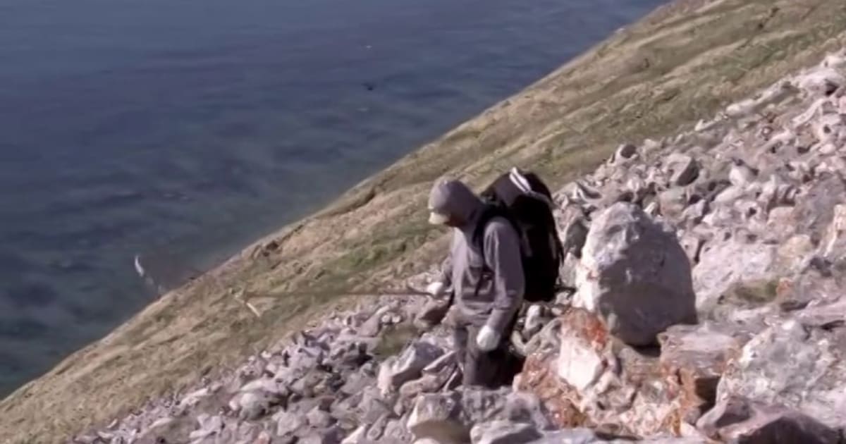 Kiviak in Greenland 2025-2026 - Rove.me