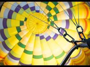 Best Time to See Sandhill Crane Migration in Indiana 2024 - Rove.me