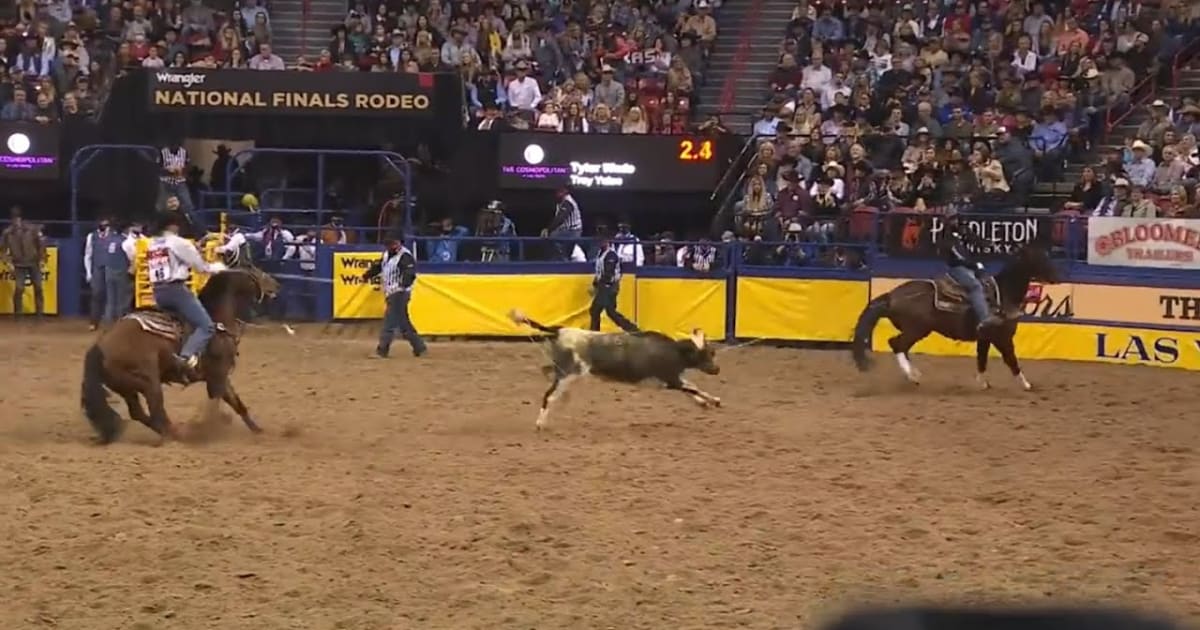 National Finals Rodeo 2024 in Las Vegas - Rove.me