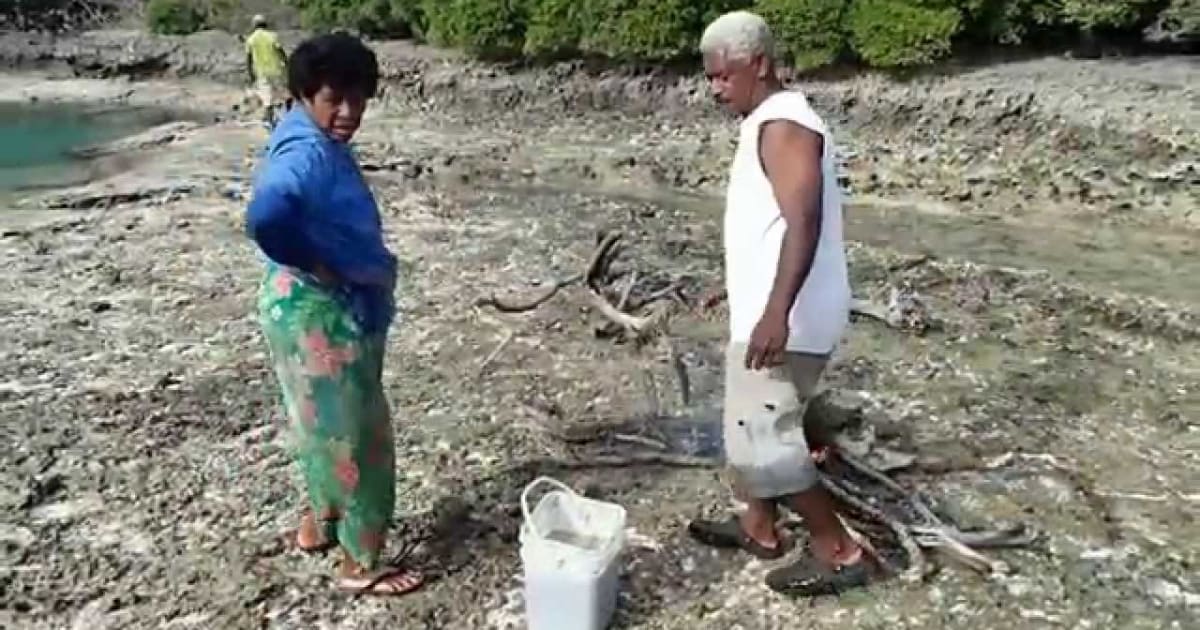 Rising of the Balolo in Fiji 2025 - Rove.me