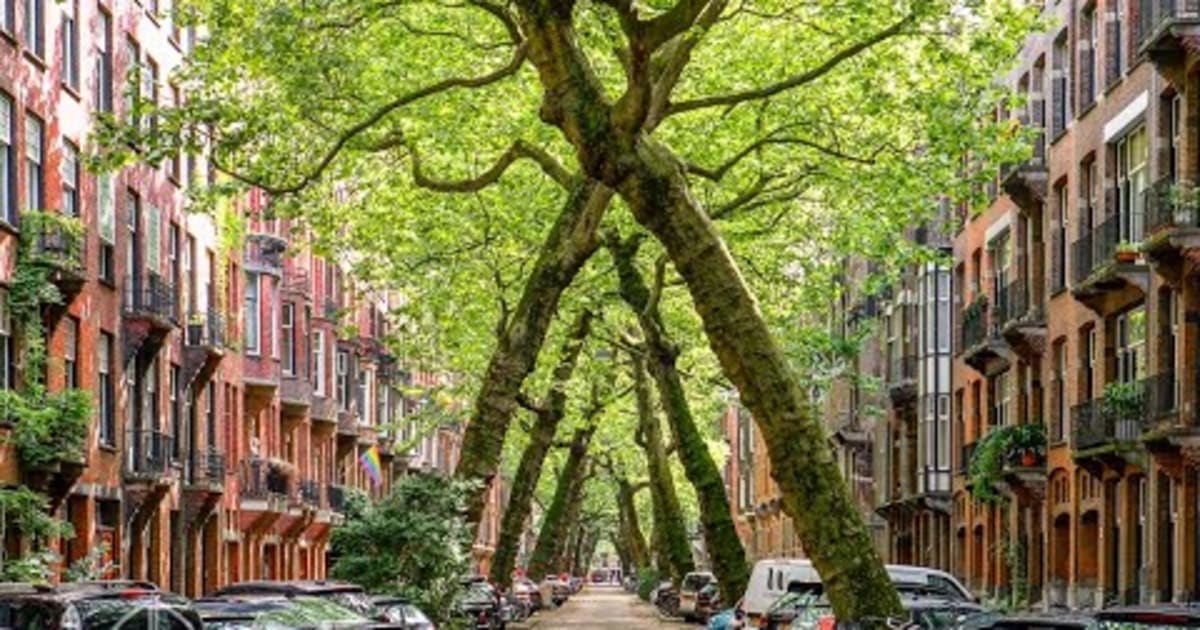 Lomanstraat Street in The Netherlands 2026 - Rove.me