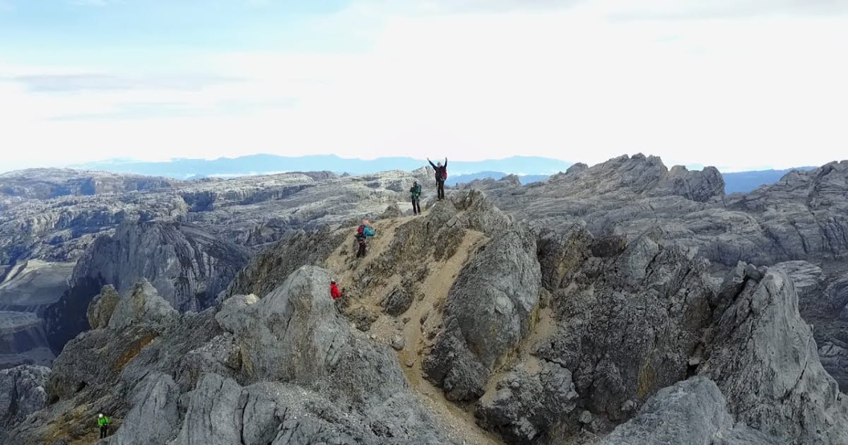 Escalada Puncak Jaya (Pirámide de Carstensz) en Indonesia 2025 - Rove.me