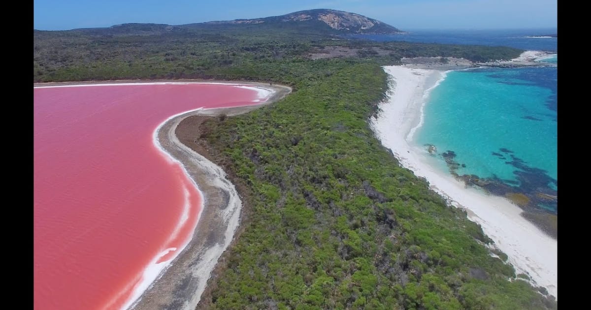 Lake Hillier in Western Australia 2024-2025 - Rove.me