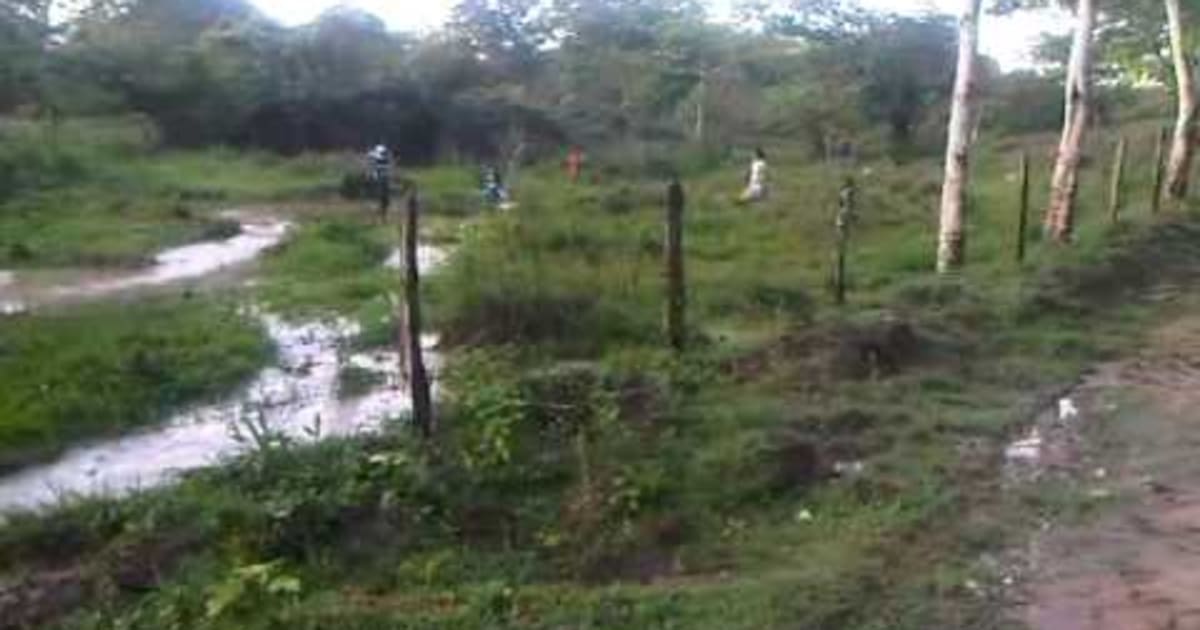 Lluvia de Peces (Rain of Fish) in Honduras 2026 - Rove.me