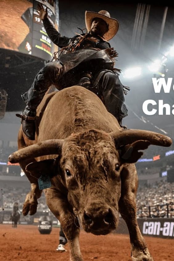 National Finals Rodeo 2024 in Las Vegas - Rove.me