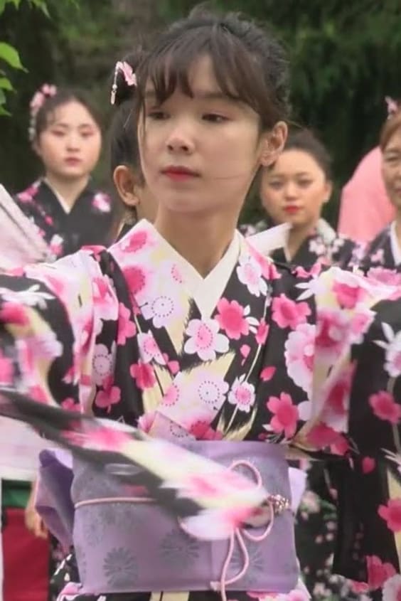 Cherry Blossom in Minneapolis–Saint Paul, MN 2025 - Rove.me