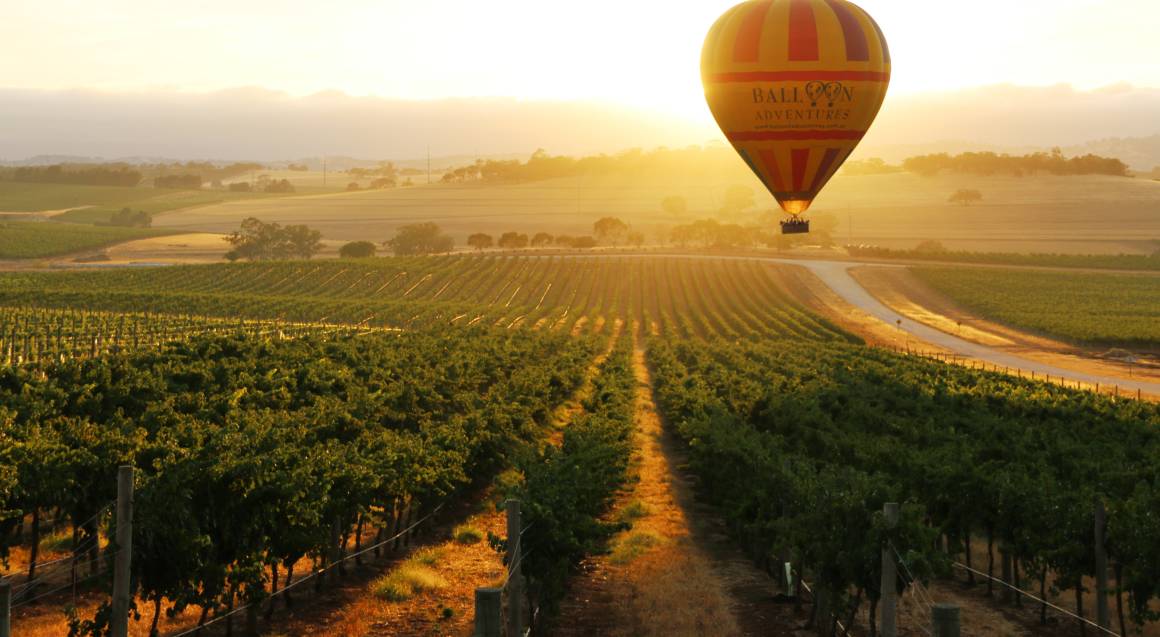 Hot Air Balloon Flight over Barossa Valley with Breakfast