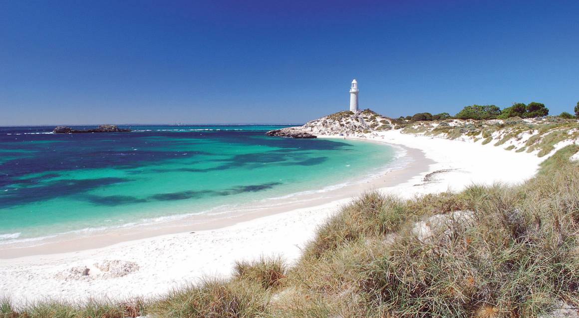 Rottnest Island - Ferry and Coach Tour - Fremantle