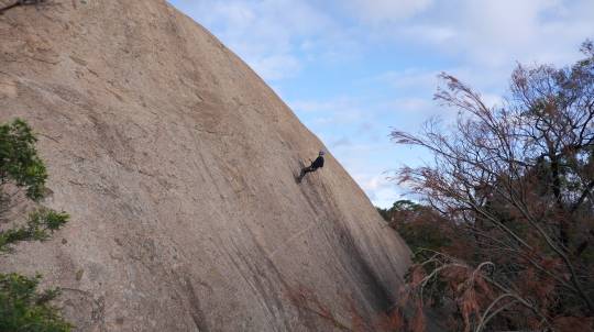 Abseiling Adventures + Experiences For Beginners To Advanced!