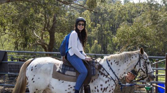 Horse Riding Experiences For Every Level Of Rider On RedBalloon