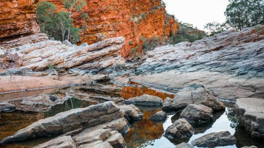Bushwalking & Hiking Tours - RedBalloon
