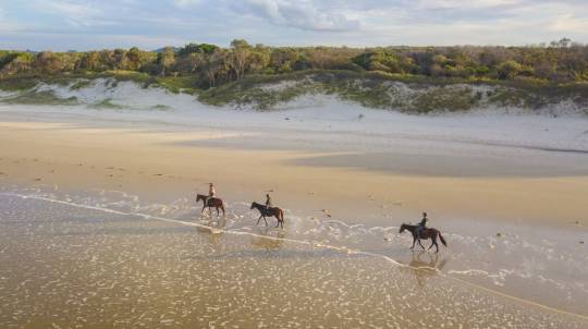 Horse Riding Experiences For Every Level Of Rider On RedBalloon