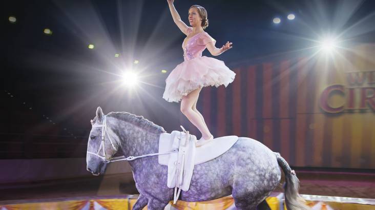 Things to do on the Gold Coast | RedBalloon