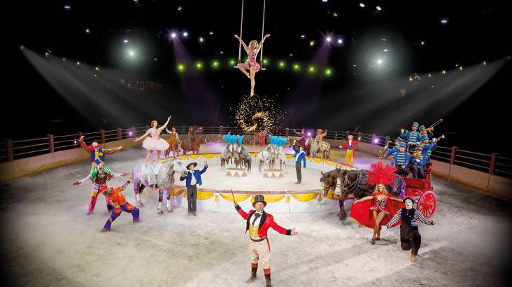 Things to do on the Gold Coast | RedBalloon