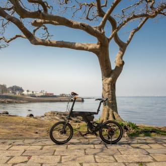 The Best of Craig Mod in 2025